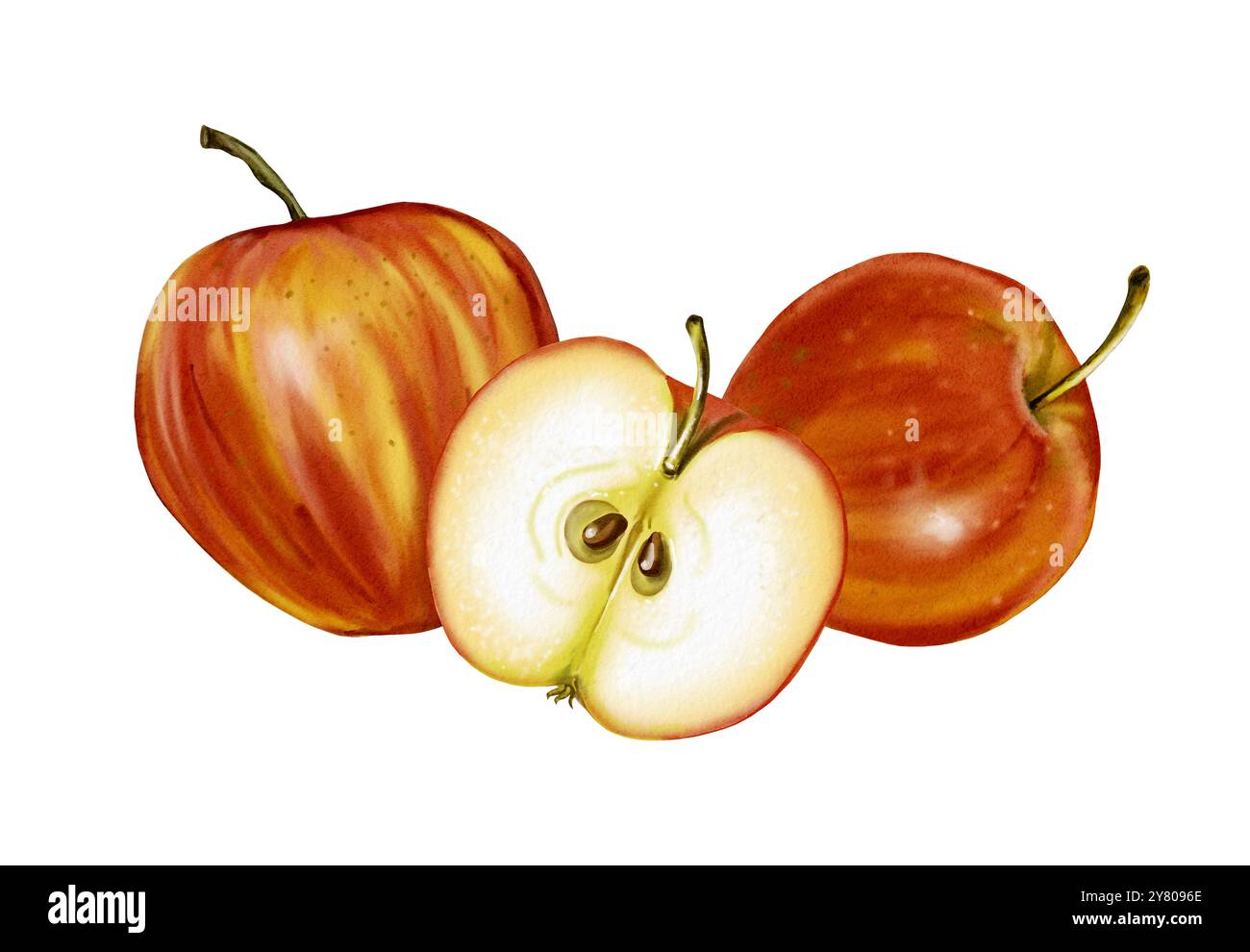 Composition of three apples. Whole, halved and quartered apples. The ...