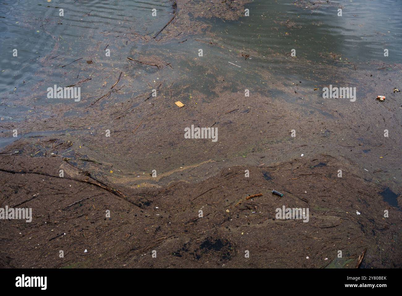 Debris and mud floating in a river after flooding in the Czech Republic ...
