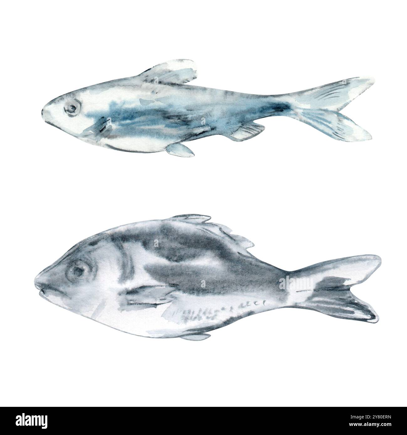 Set of swimming fish in watercolor. The shiny fish scales and fins are ...