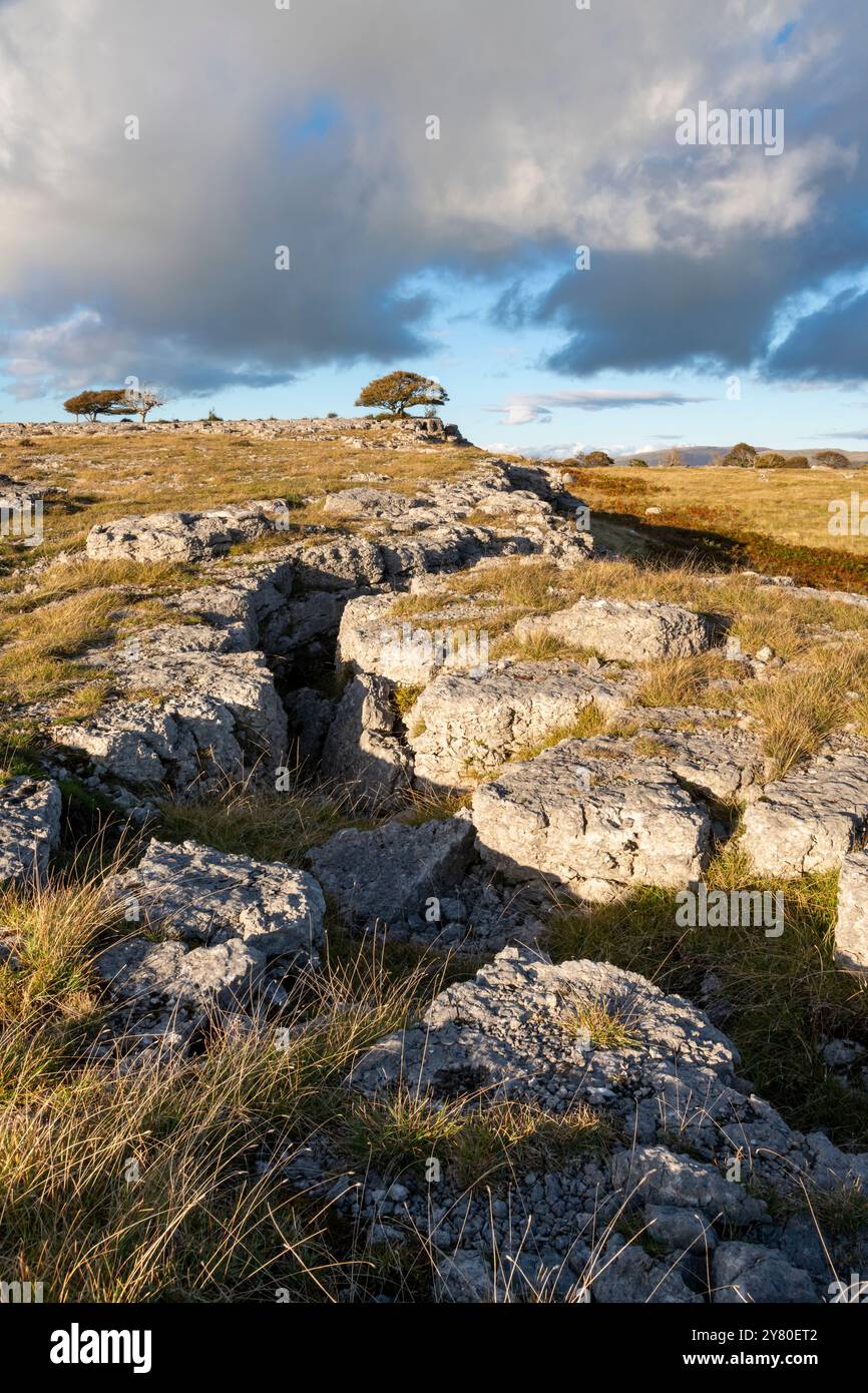 Newbiggin Crags, a limestone pavement landscape near Burton in Lonsdale ...