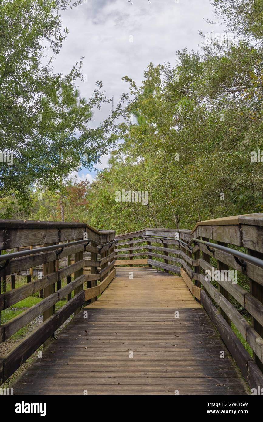 The wooded walking bridge transverses the vibrant colorful autumn and ...