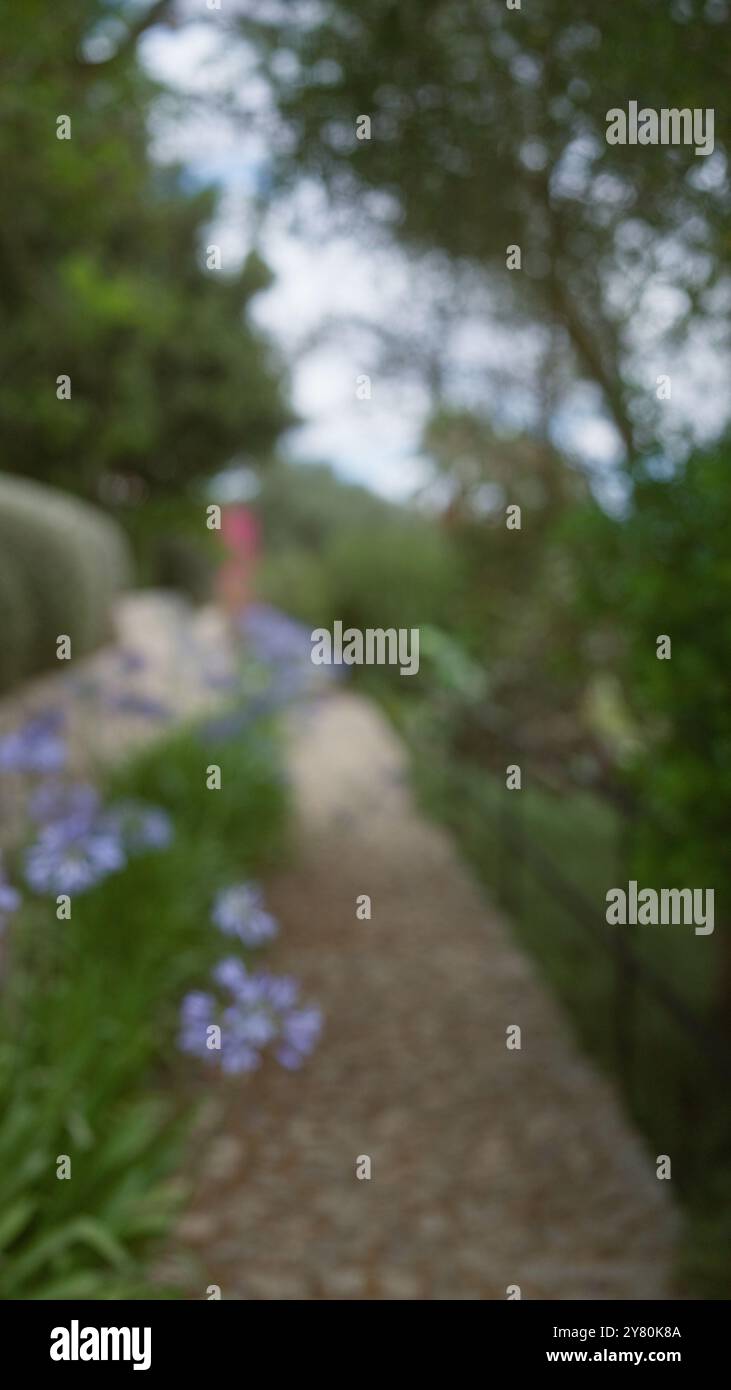 Blurry garden path in mediterranean hi-res stock photography and images ...