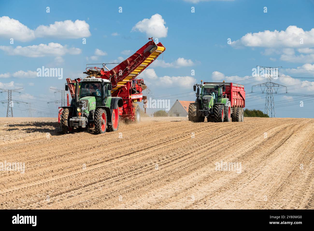 Potato harvest: digging up potatoes in the middle of field. Fendt ...