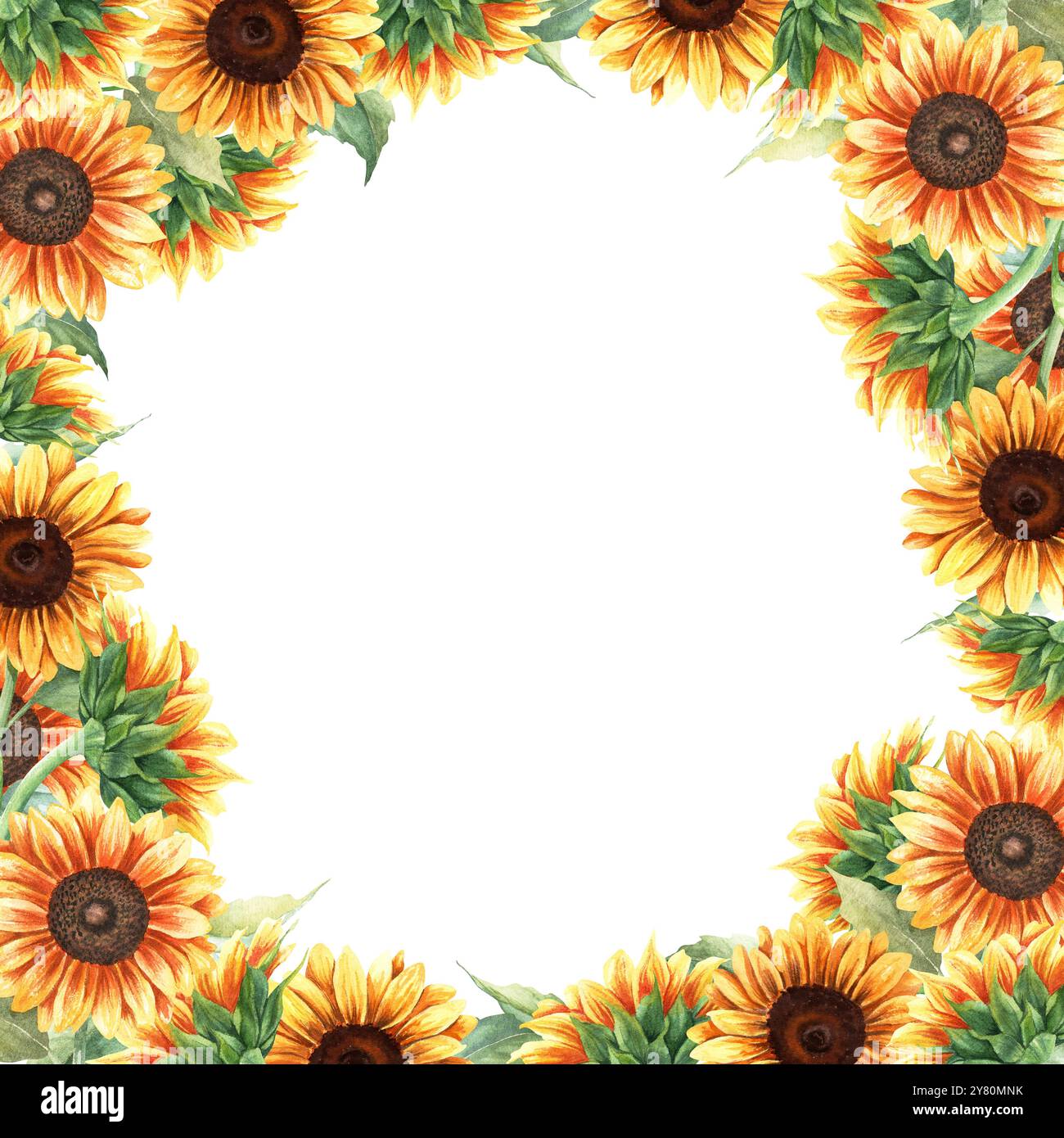 Watercolor square frame with yellow sunflowers, vibrant plants. Hand ...