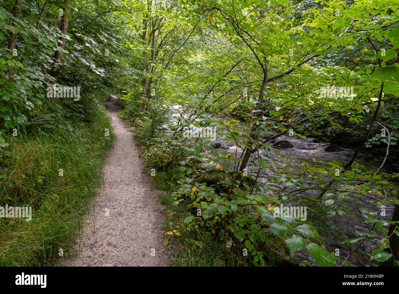 The river Twiss, The Ingleton Waterfalls Trail in North Yorkshire ...