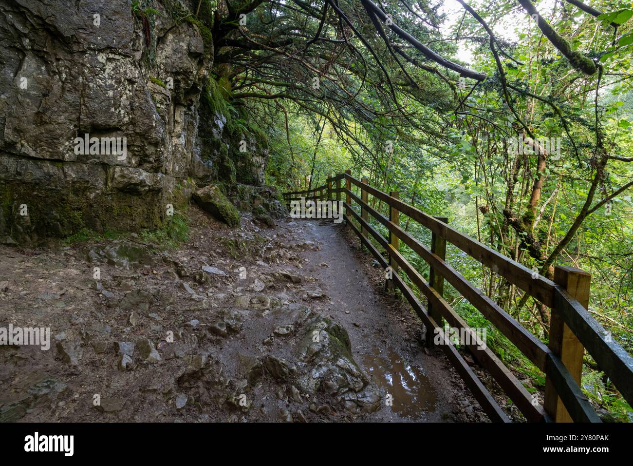 Swilla Glen, The Ingleton Waterfalls Trail in North Yorkshire, England ...