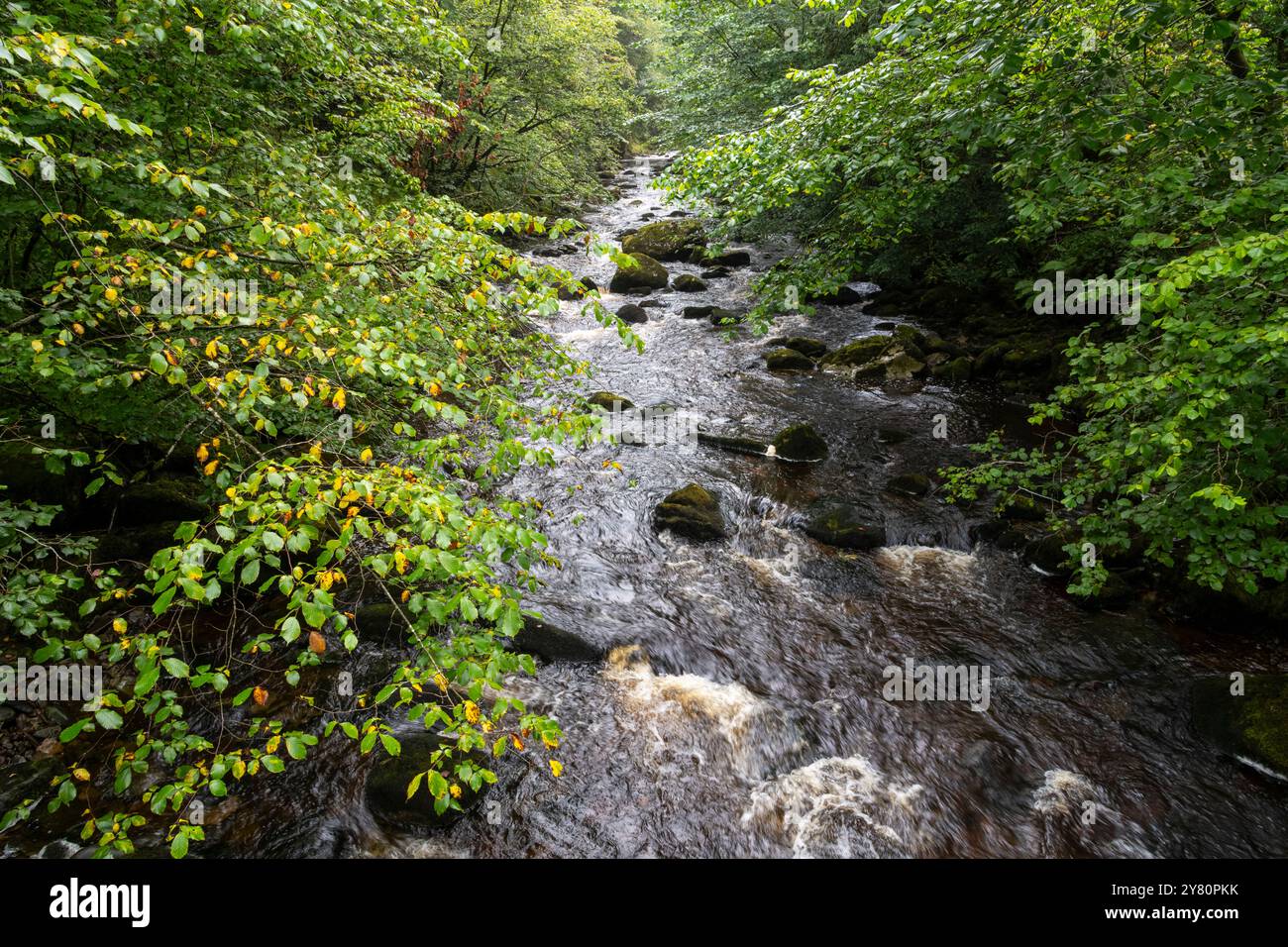 The Ingleton Waterfalls Trail in North Yorkshire, England Stock Photo ...