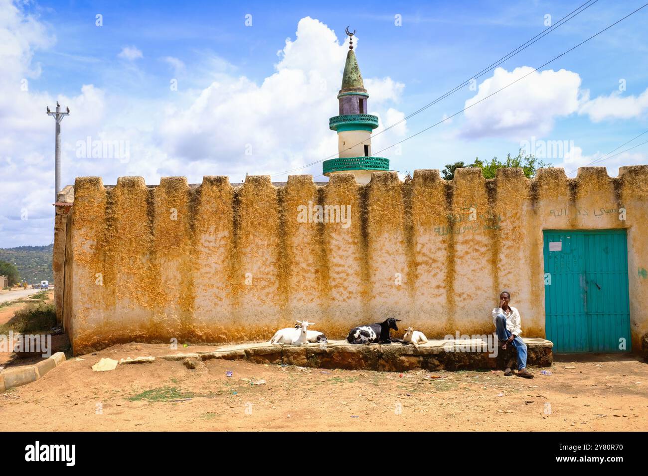 Ethiopia: scene from everyday life in Harar (Harar-Gey or simply Gey ...