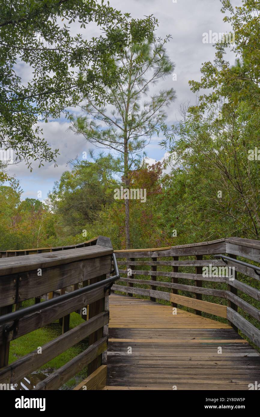 The wooded walking bridge transverses the vibrant colorful autumn and ...