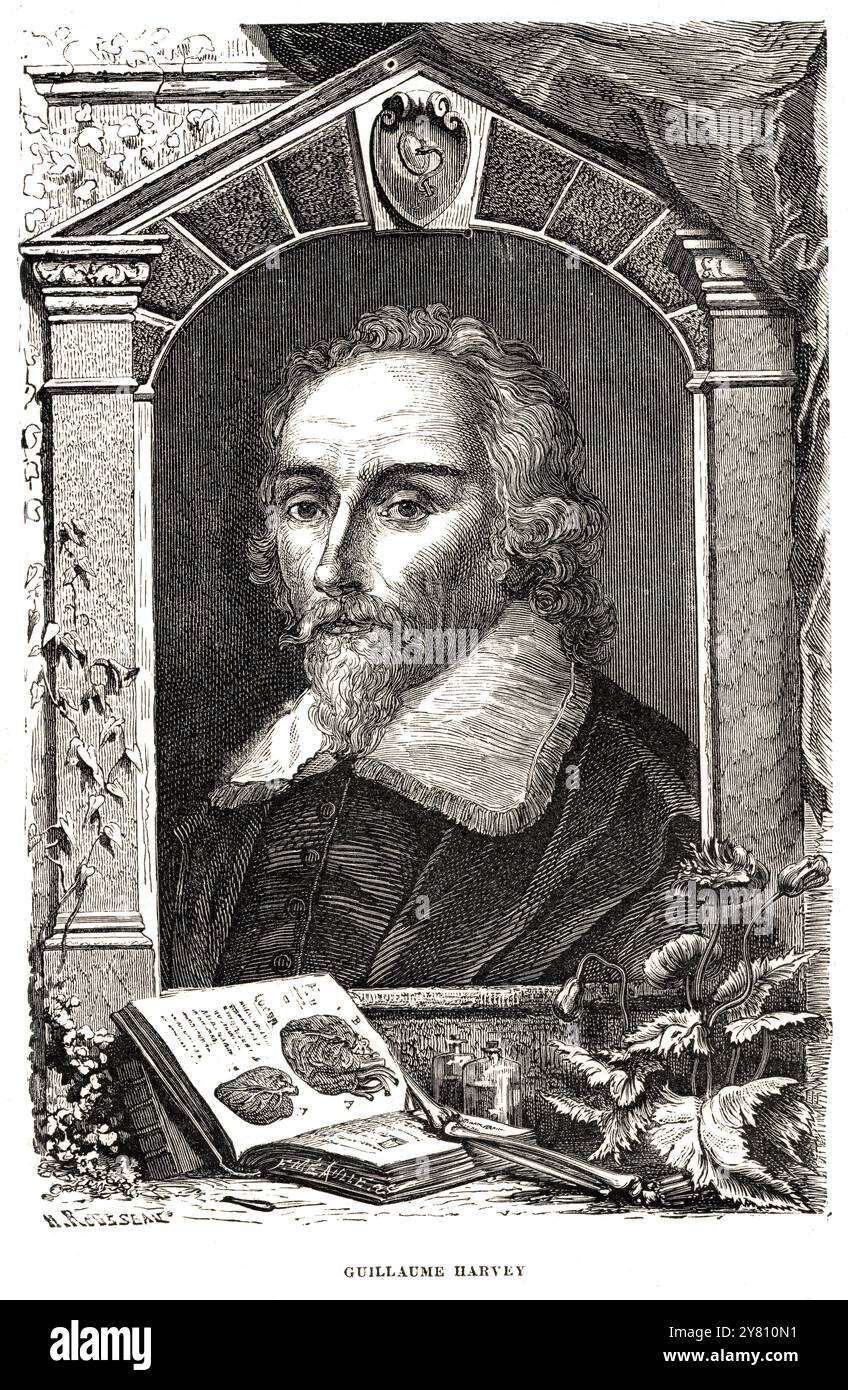 Portrait of William Harvey (1578-1657) Historical Engraving Stock Photo ...