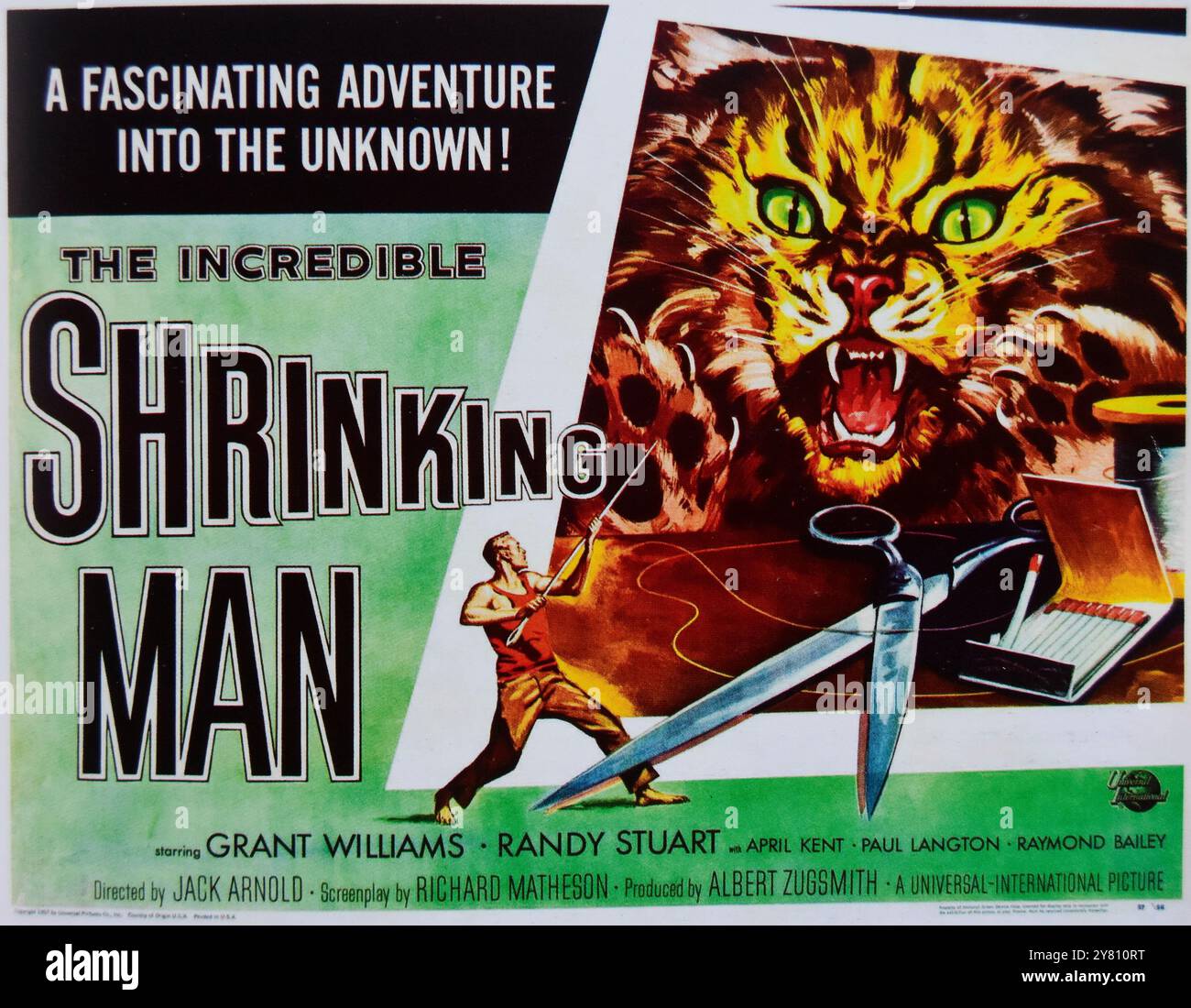 The Incredible Shrinking Man, 1957. American science fiction film directed by Jack Arnold ...