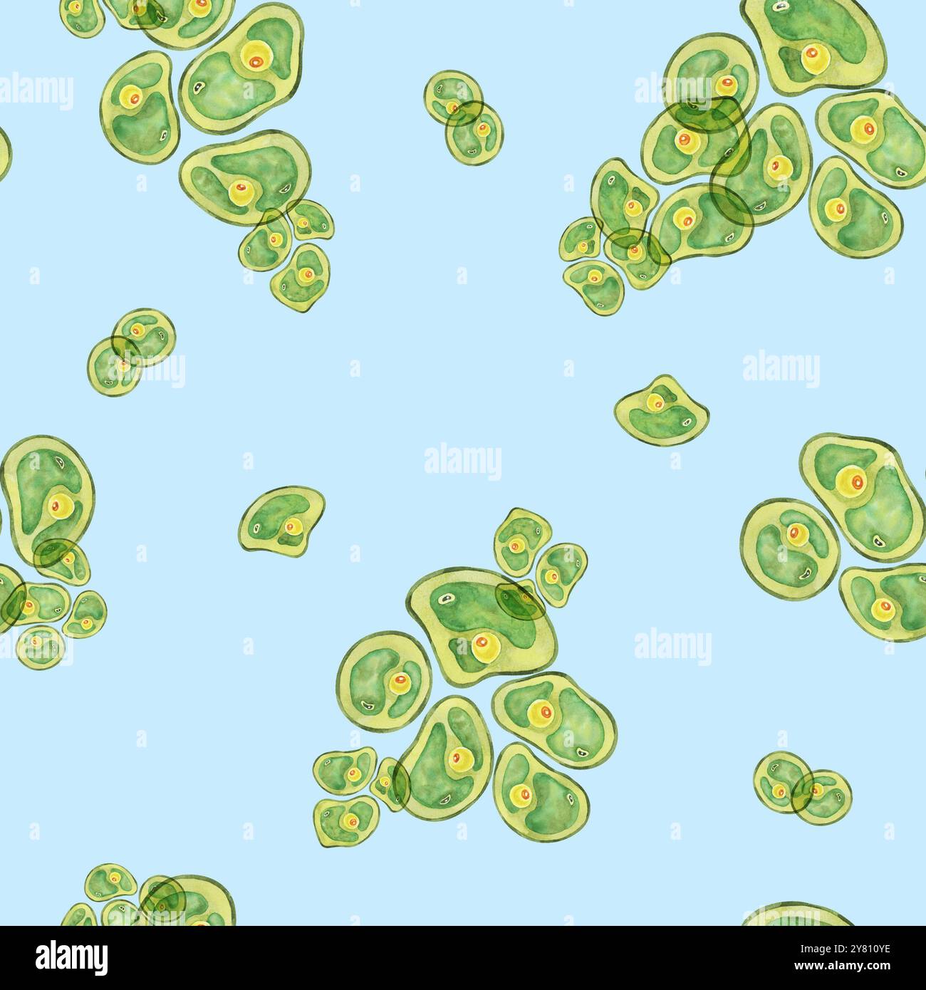 Green Chlorella algae cells on light blue background. Watercolor ...