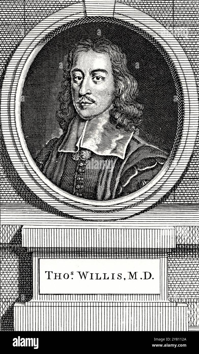 Portrait of Thomas Willis (1621-75) English physician. - Historical ...