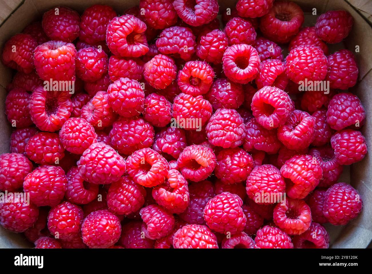 Fresh organic raspberries closeup view background. Wallpaper Stock ...