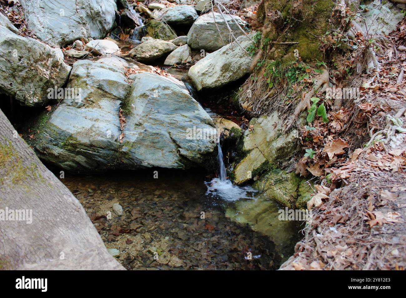 The path of the centaurs (after Cyclone Daniel) Portaria Pelion Greece ...