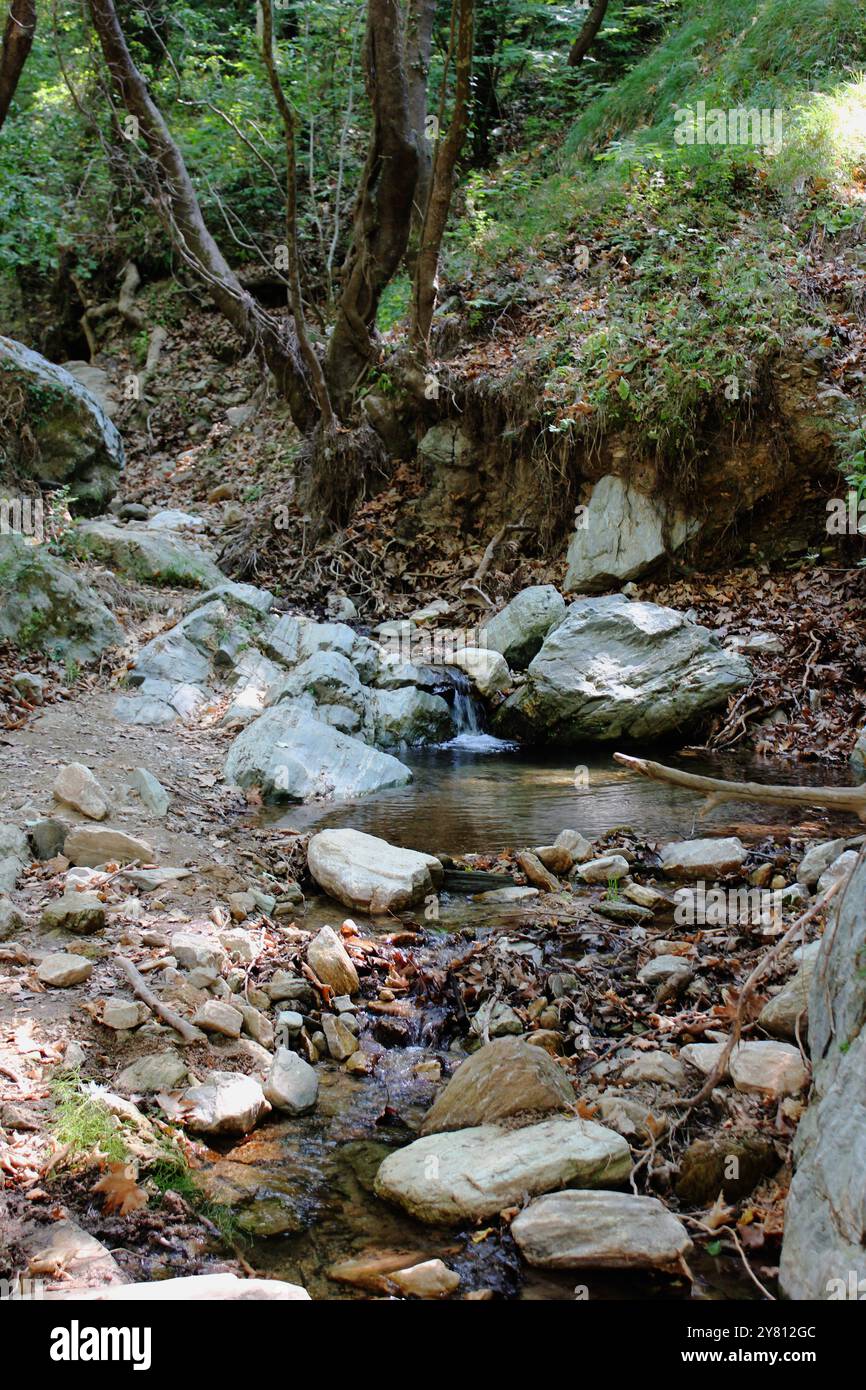 Cyclone daniel cyclone hi-res stock photography and images - Alamy