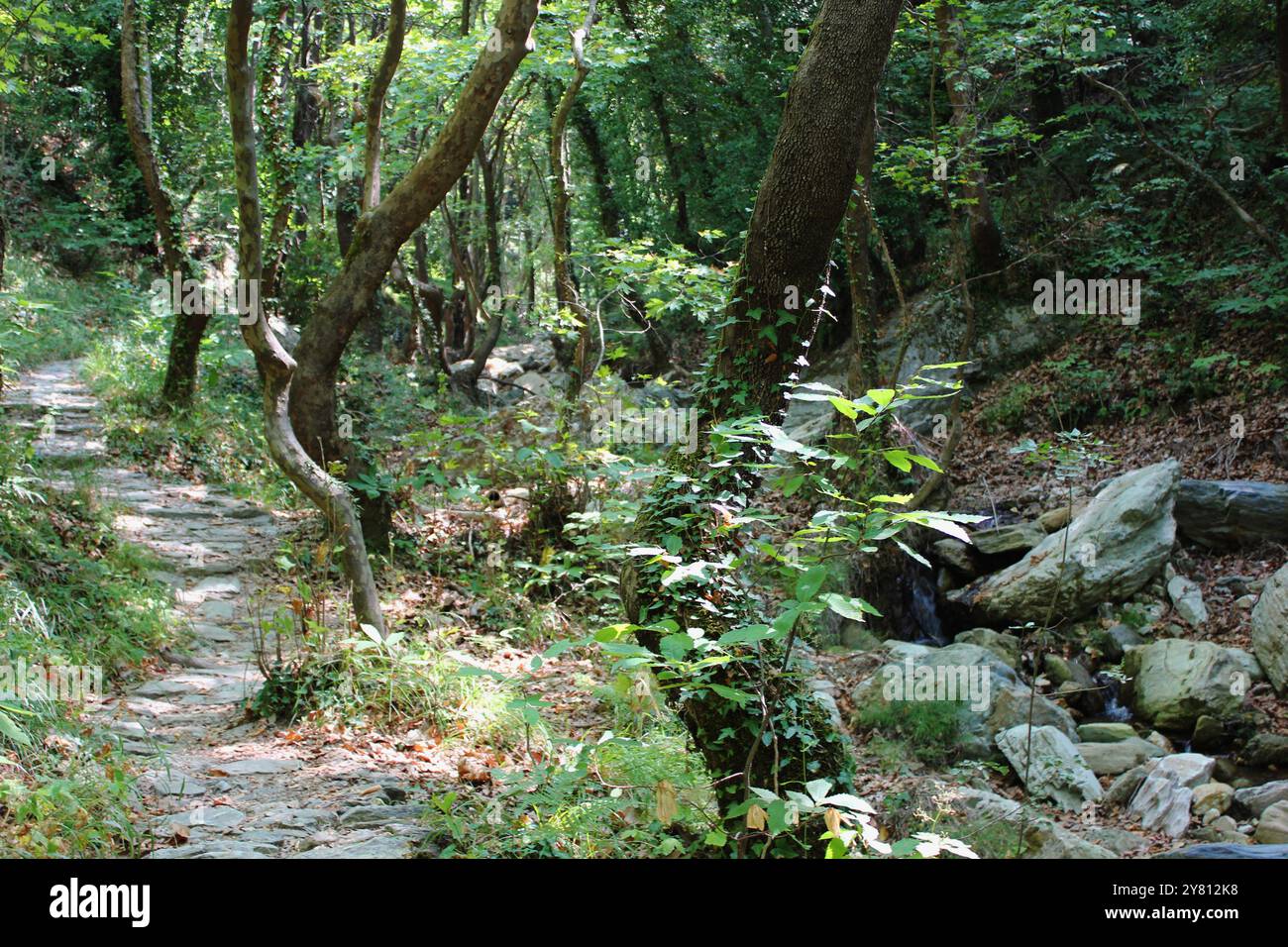 The path of the centaurs (after Cyclone Daniel) Portaria Pelion Greece ...