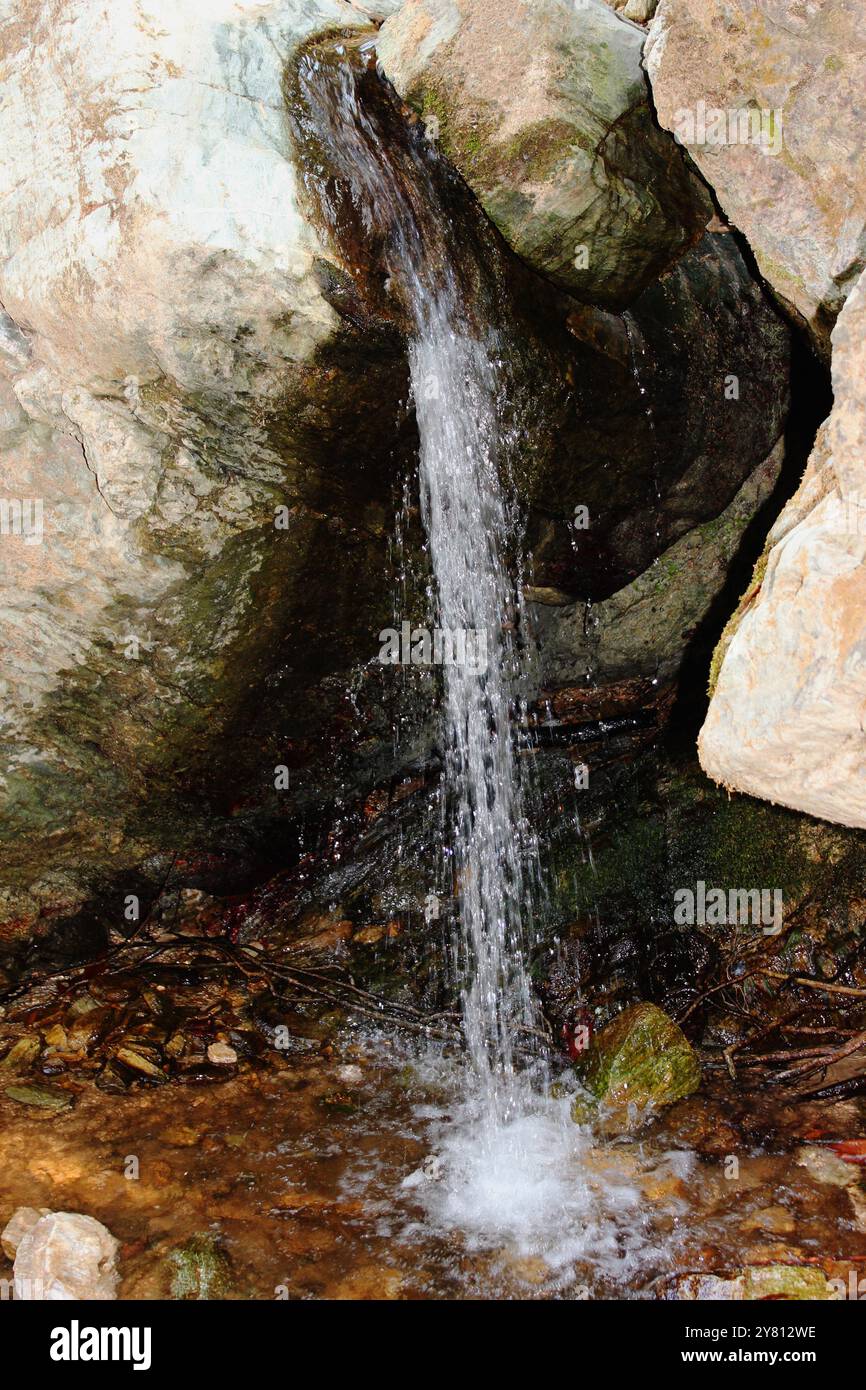 The path of the centaurs (after Cyclone Daniel) Portaria Pelion Greece ...