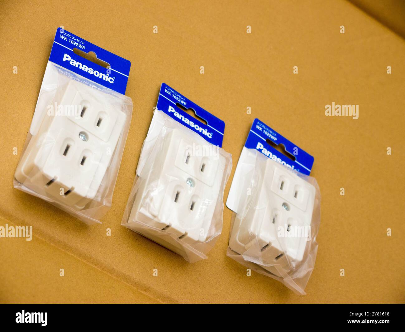 Panasonic socket WK-1022WP 15A 125v. Panasonic Corporation, is a ...