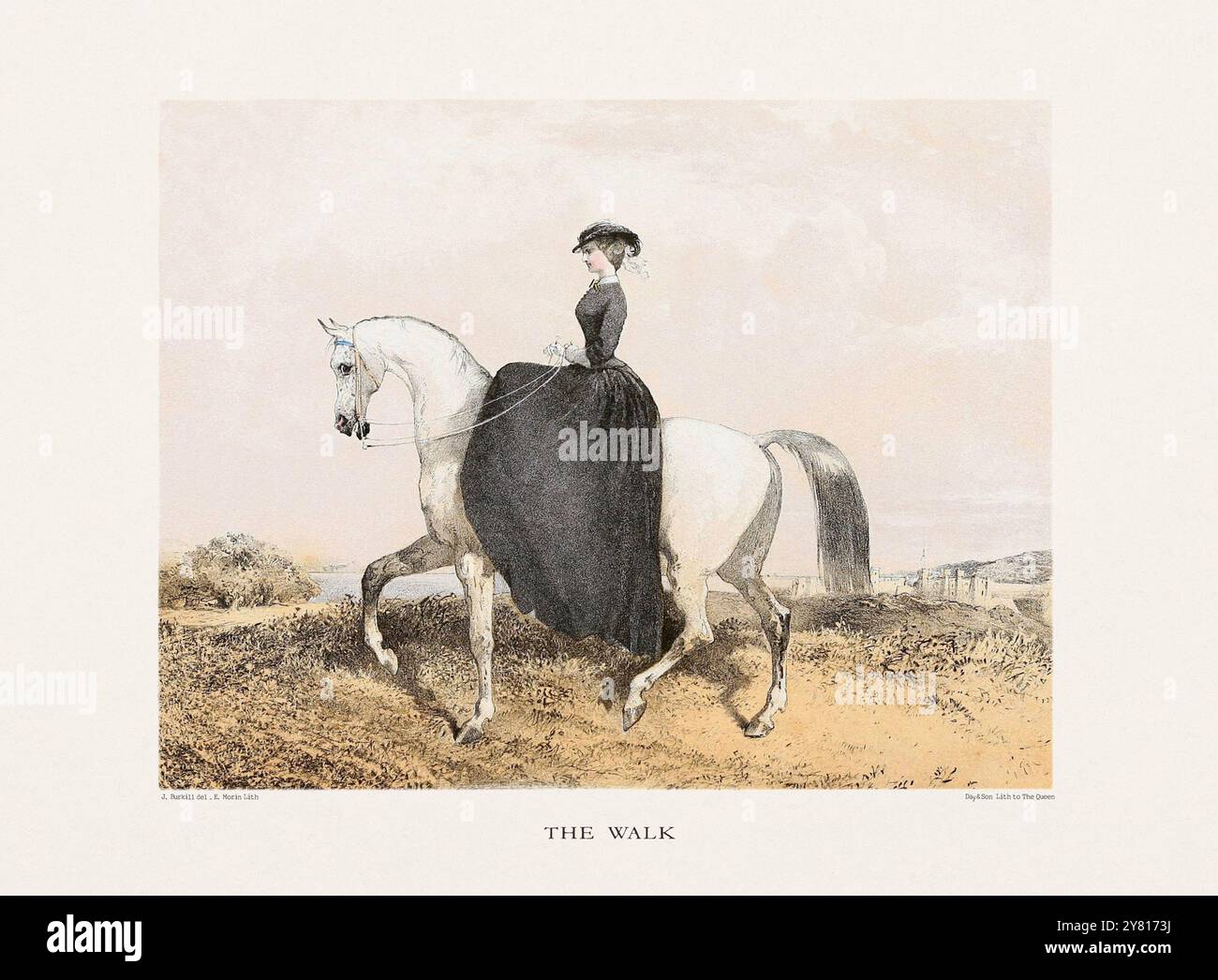 Victorian Lady Riding a Horse. Vintage equestrian woman from an 1857 ...