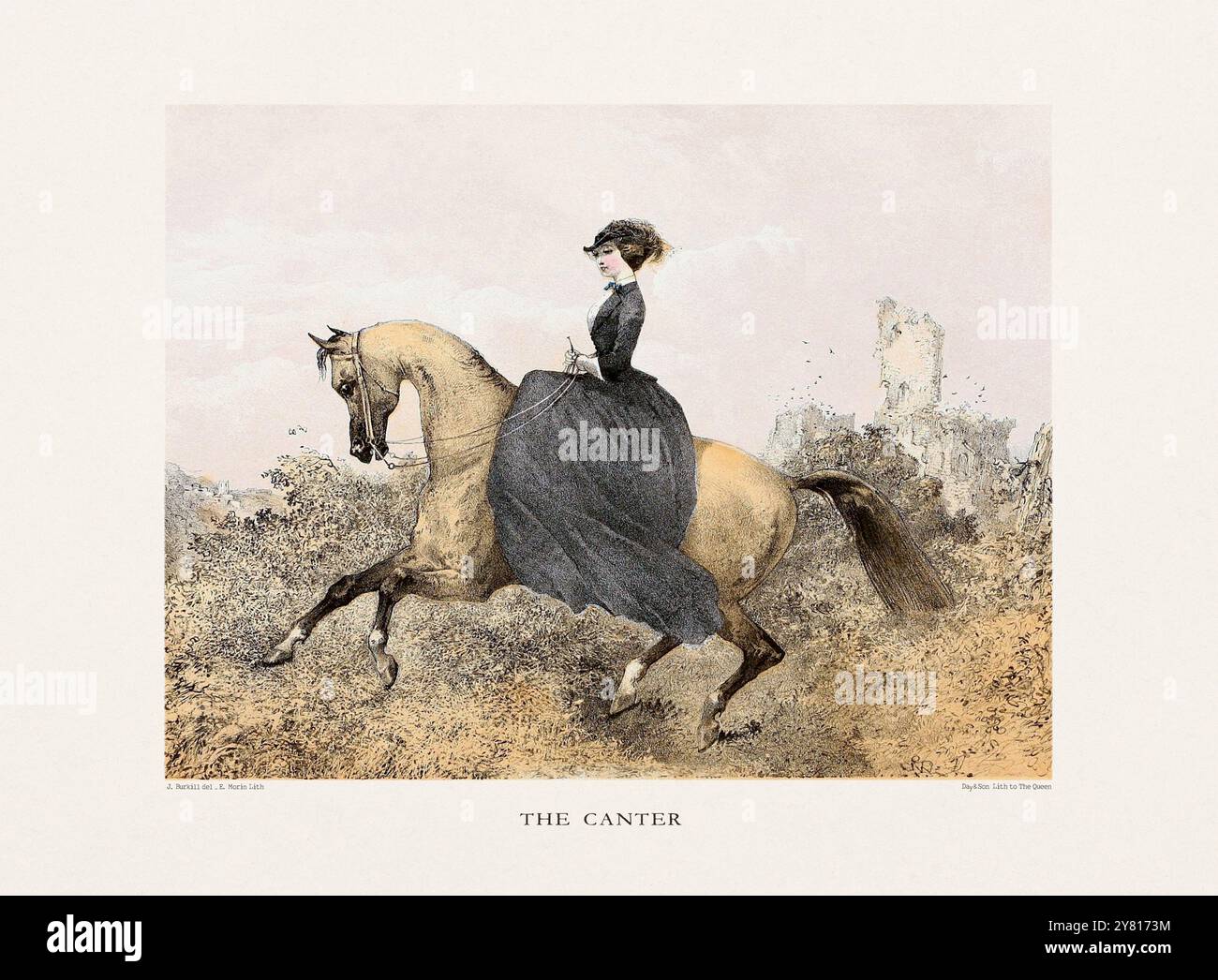 Victorian Lady Riding a Horse. Vintage equestrian woman from an 1857 ...