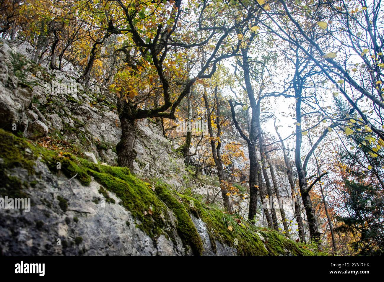Orbe valley hi-res stock photography and images - Alamy