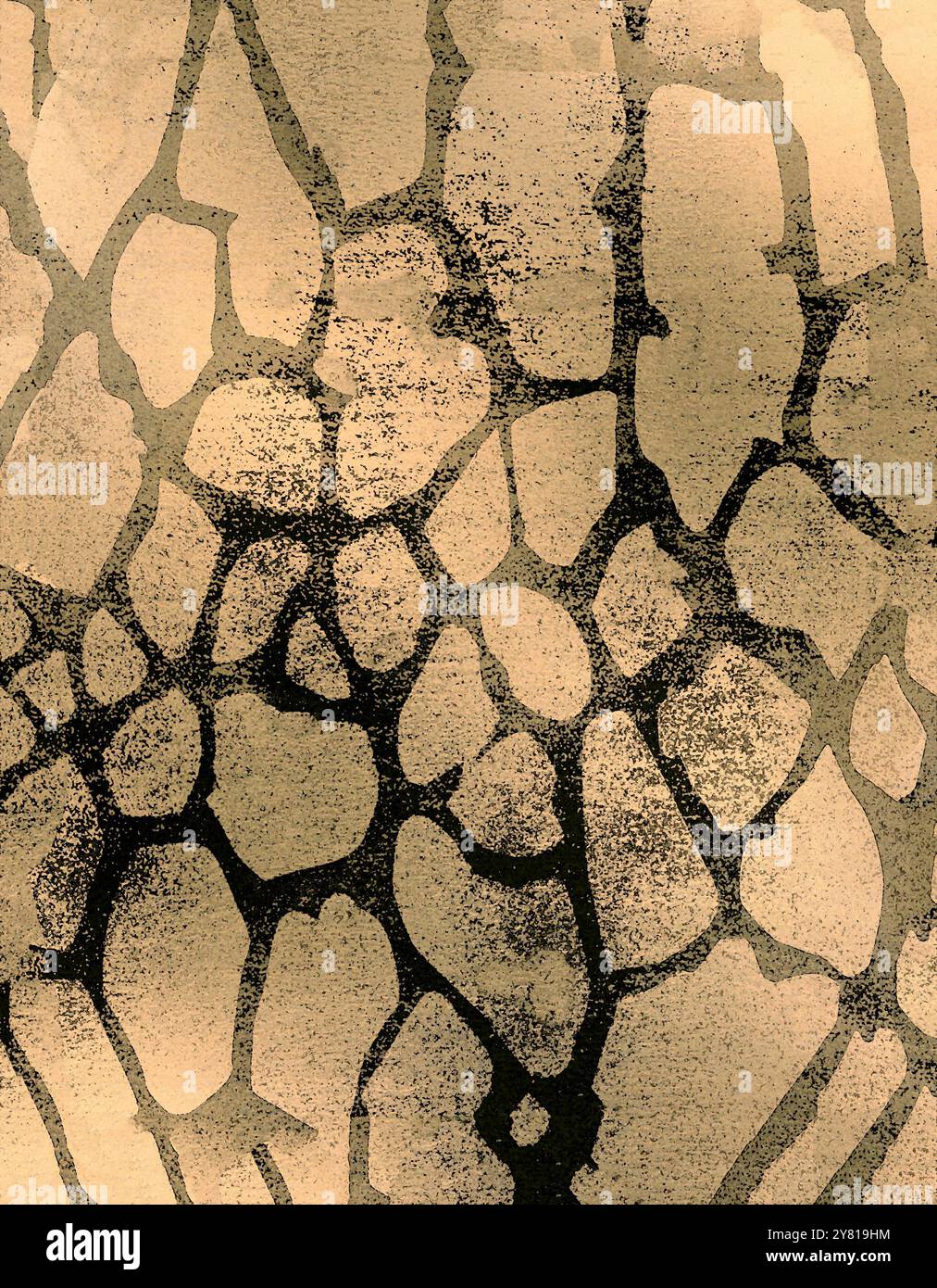 Brown background with a stylized spider web pattern with dark spots and ...