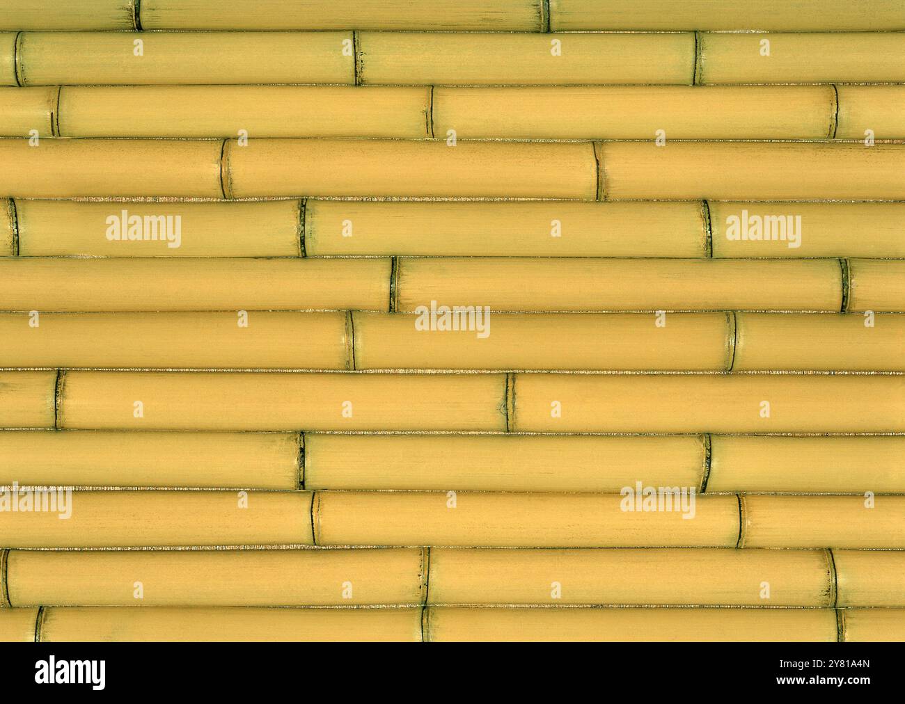Horizontal arrangement of yellow bamboo in close-up Stock Photo - Alamy