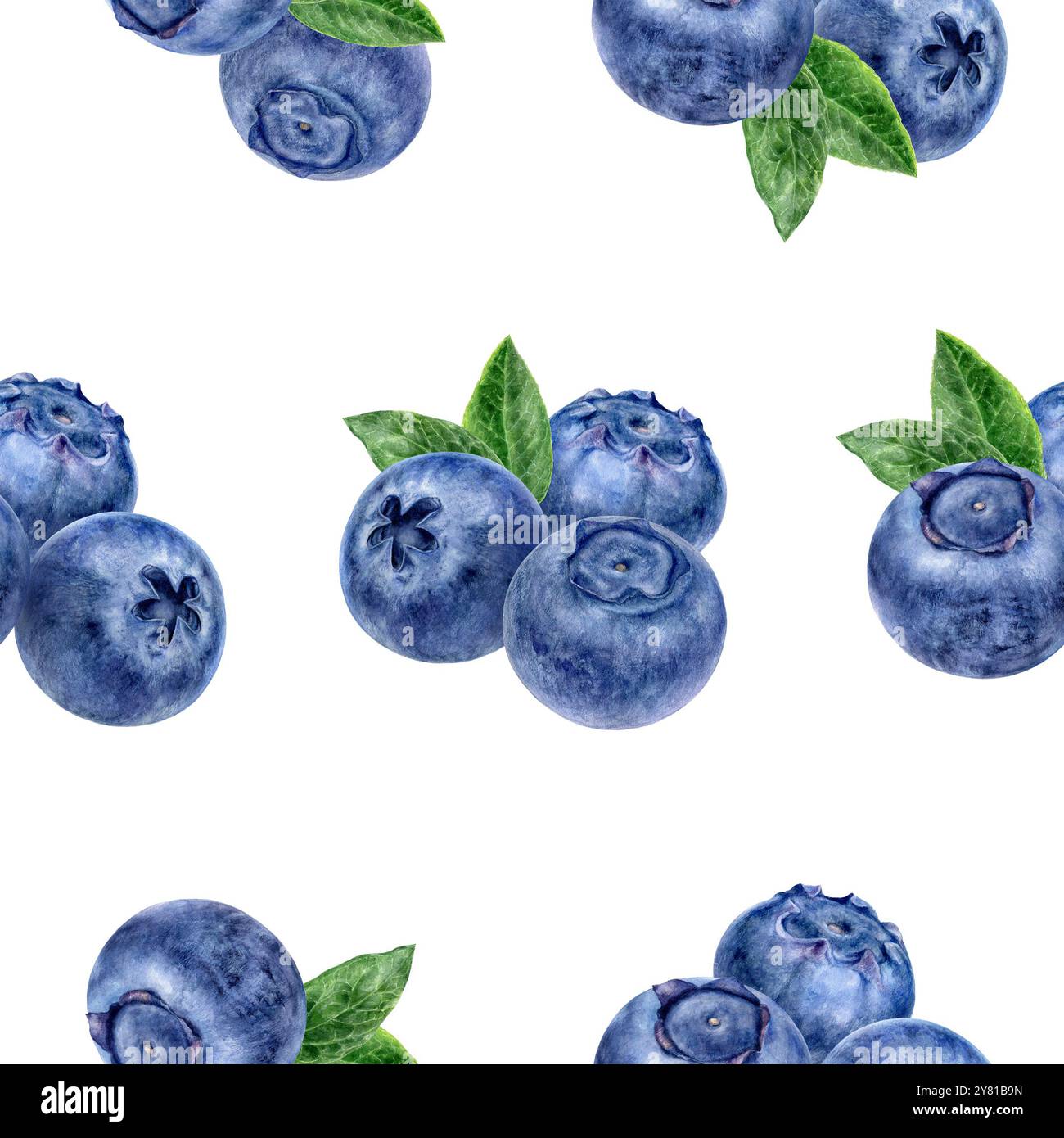 Hand-Painted Watercolor Seamless Blueberry Pattern Stock Photo - Alamy