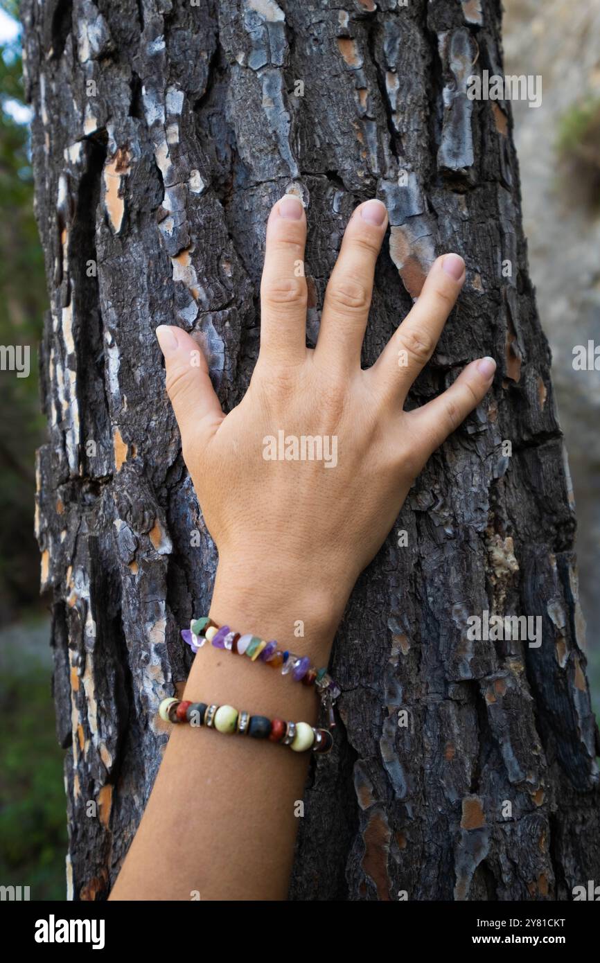 Hand woman touching bark hi-res stock photography and images - Alamy