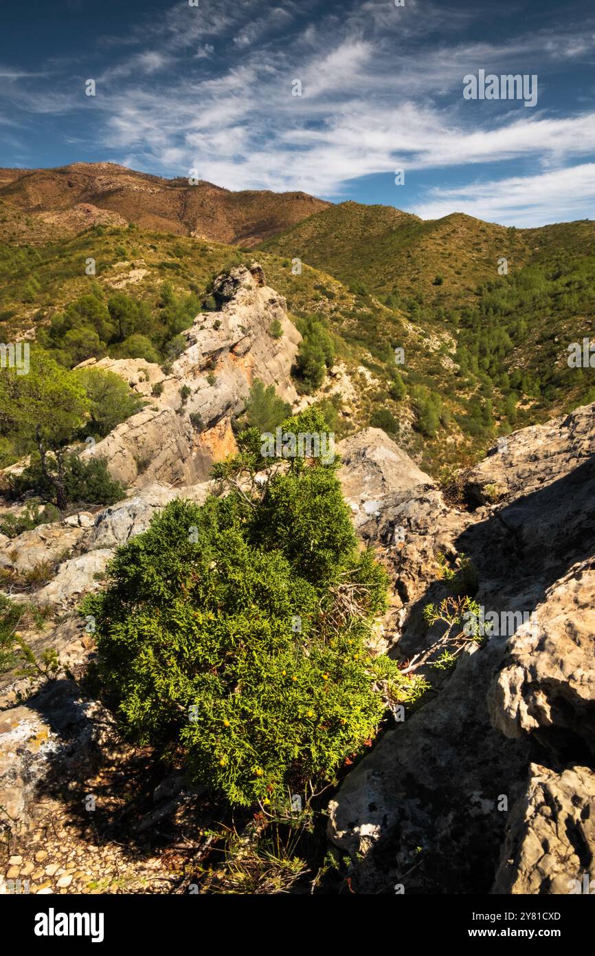 landscape of Rocky Cliffside Path Overlooking Lush Green Valley with ...