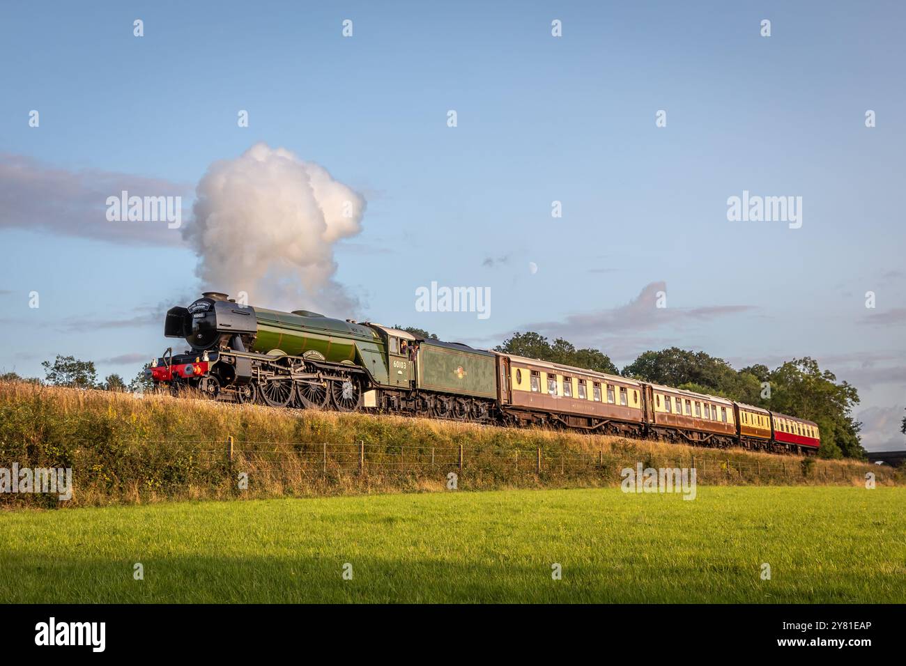 BR 'A3' 4-6-2 No. 60103 'Flying Scotsman' approaches Horsted Keynes ...