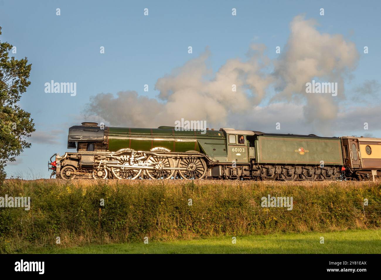 BR 'A3' 4-6-2 No. 60103 'Flying Scotsman' approaches Horsted Keynes ...