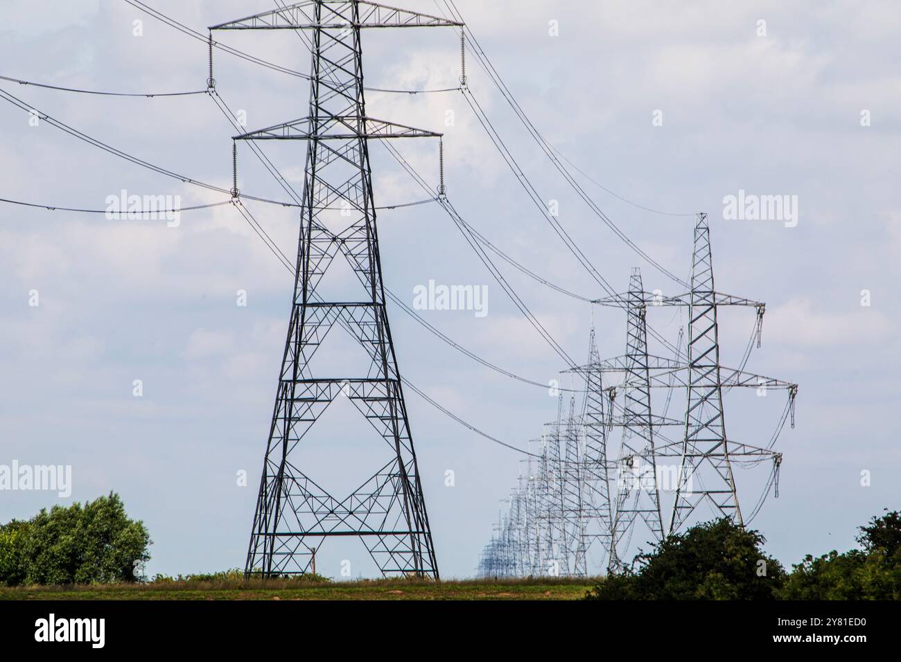 30 m high pylons currently crossing the Pennigton Farm land. 50 m high ...