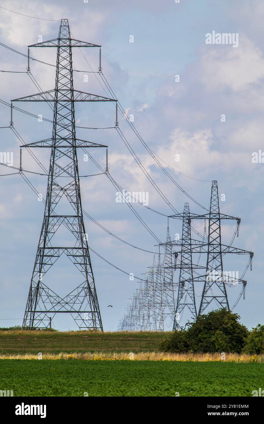 30 m high pylons currently crossing the Pennigton Farm land. 50 m high ...