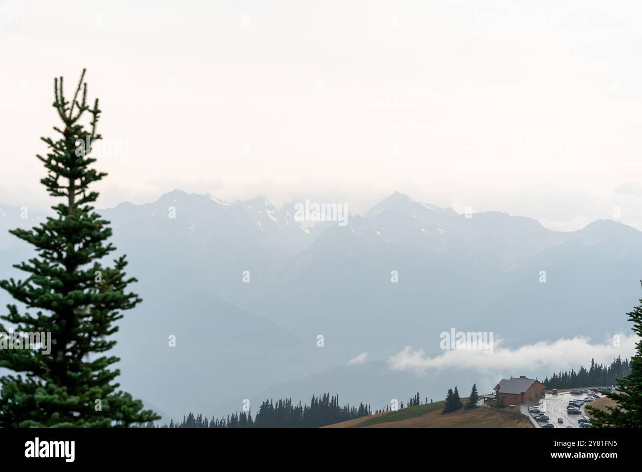 A stunning view of mountains on a rainy day from atop Hurricane Ridge ...