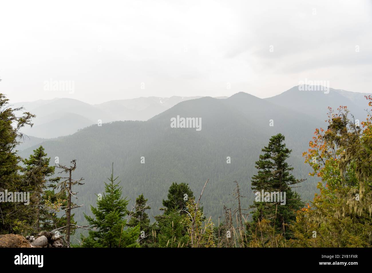 A stunning view of mountains on a rainy day from atop Hurricane Ridge ...