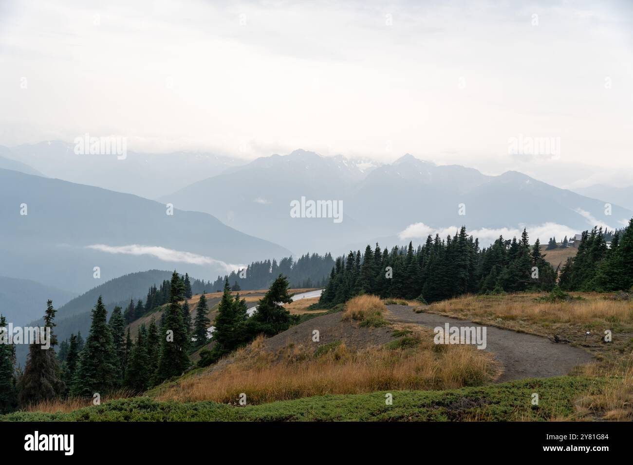 A stunning view of mountains on a rainy day from atop Hurricane Ridge ...
