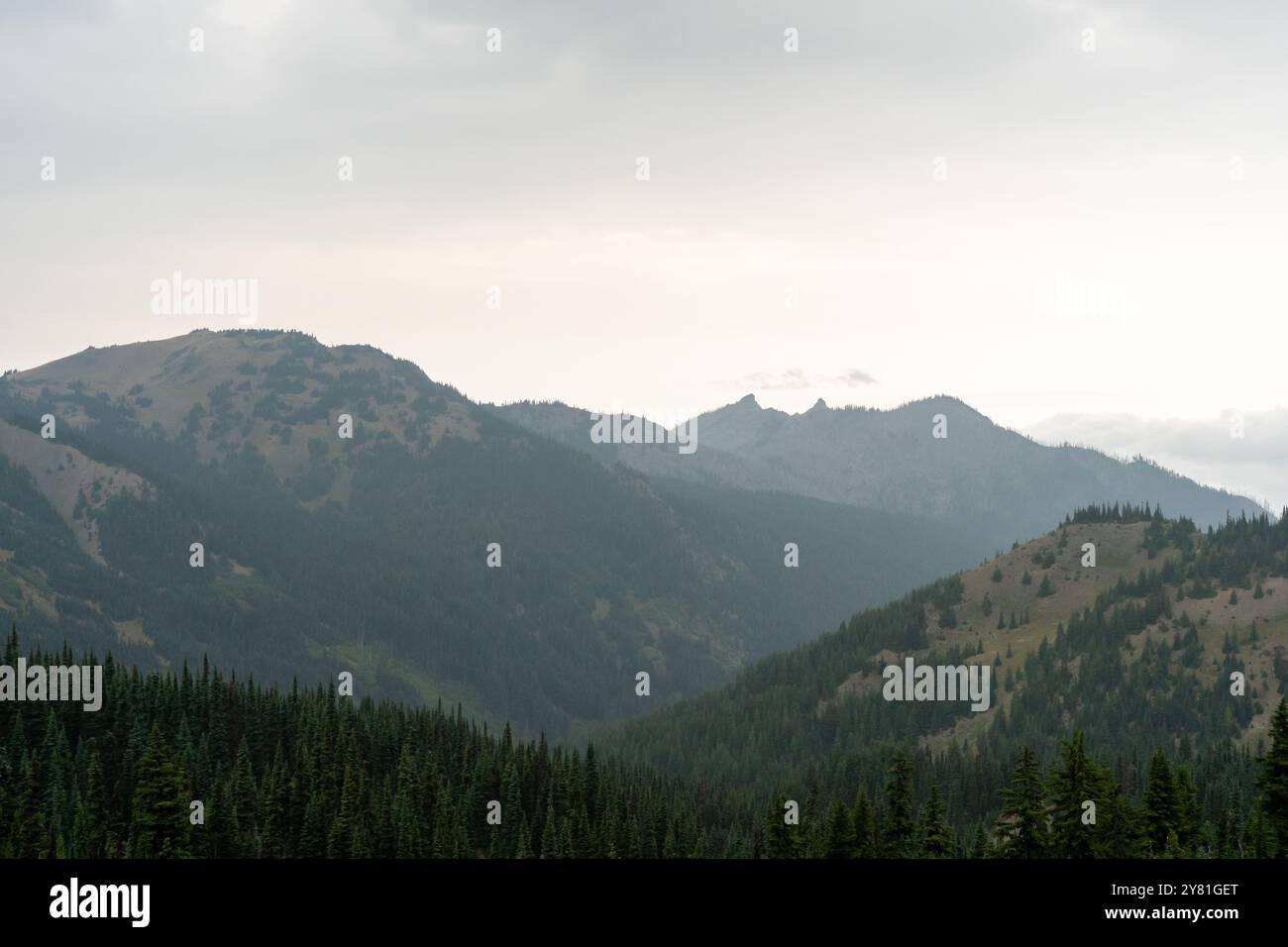 A stunning view of mountains on a rainy day from atop Hurricane Ridge ...