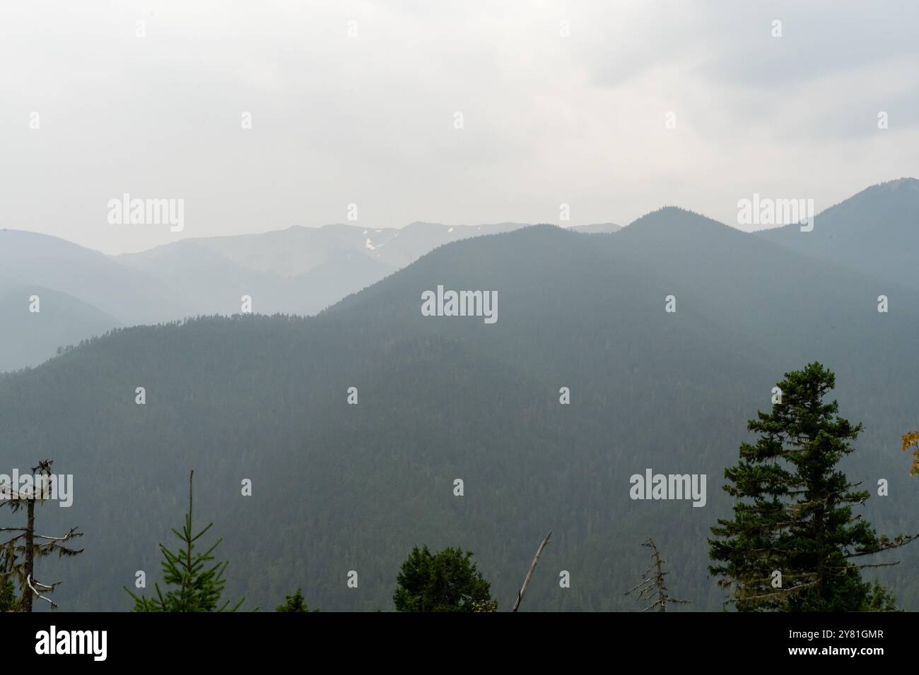 A stunning view of mountains on a rainy day from atop Hurricane Ridge ...