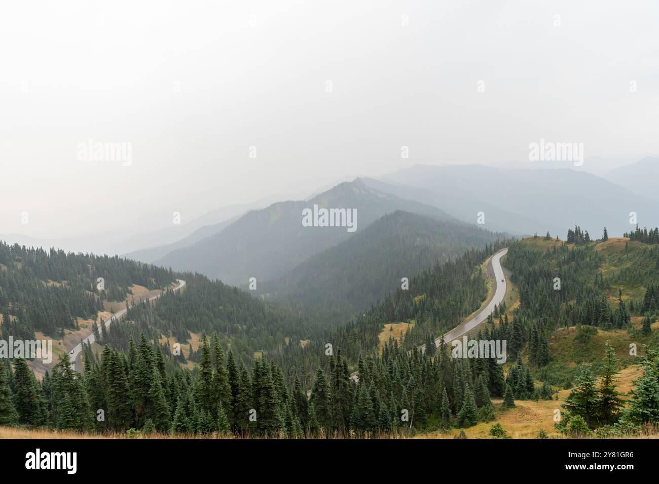 A stunning view of mountains on a rainy day from atop Hurricane Ridge ...