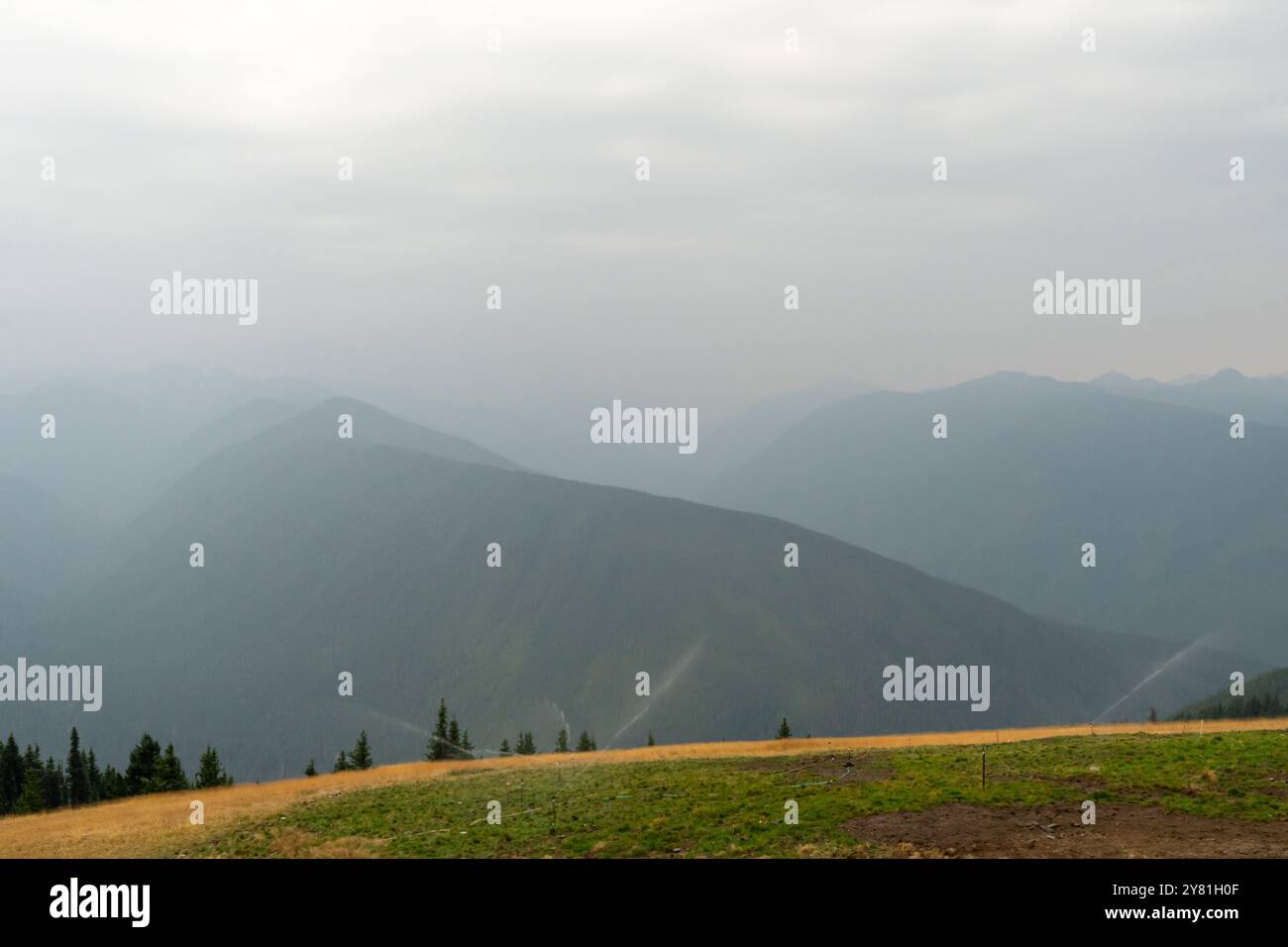 A stunning view of mountains on a rainy day from atop Hurricane Ridge ...