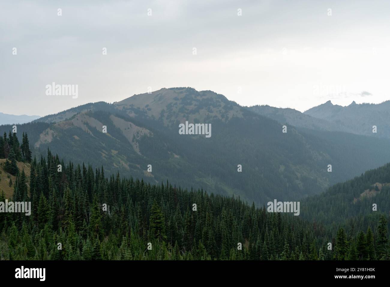 A stunning view of mountains on a rainy day from atop Hurricane Ridge ...