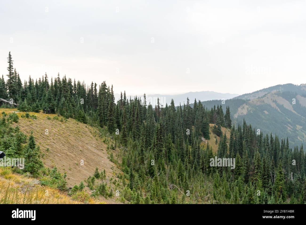 A stunning view of mountains on a rainy day from atop Hurricane Ridge ...
