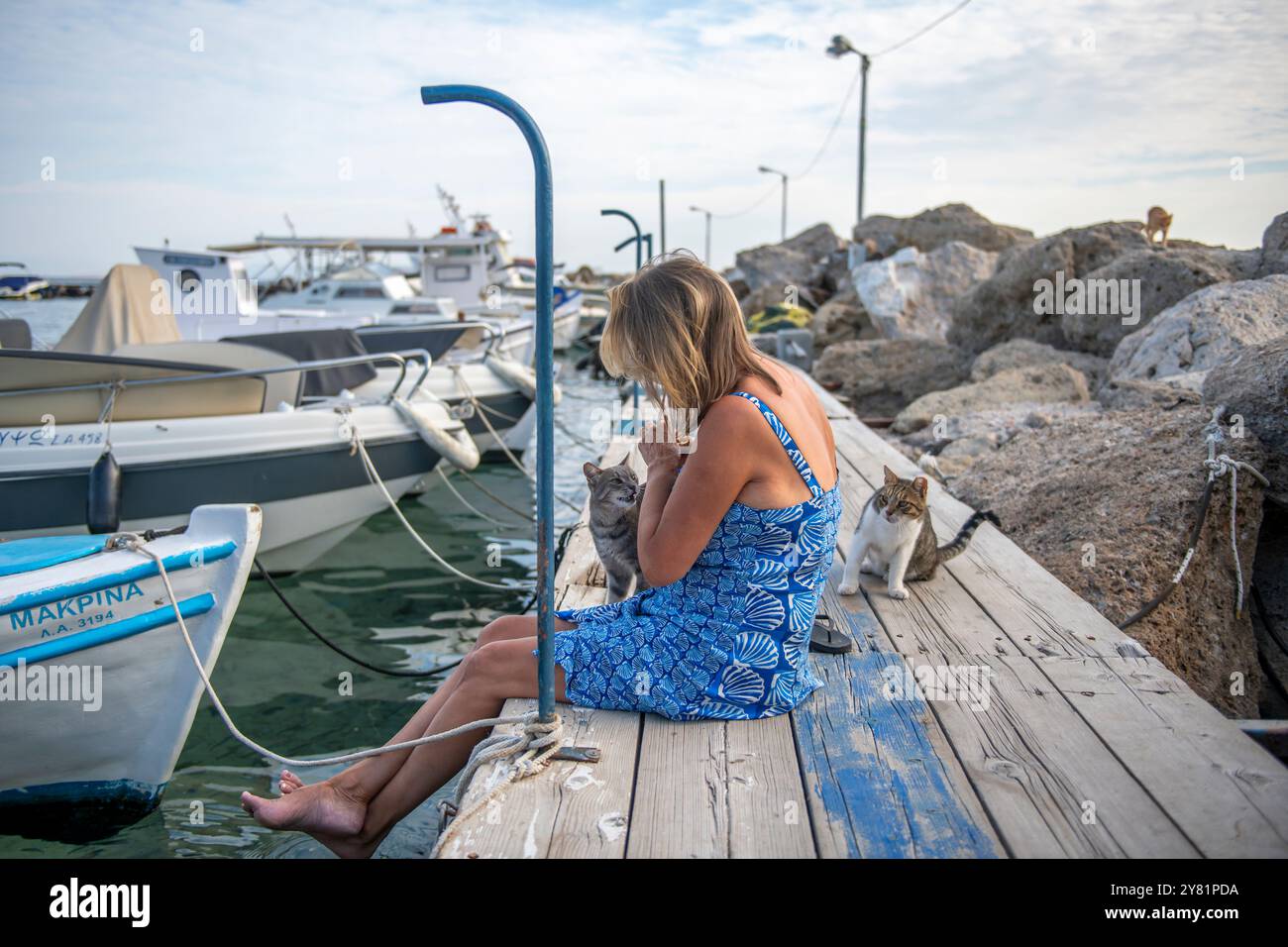 A kind lady feeds the wild cats on the side of the old port in Skala ...