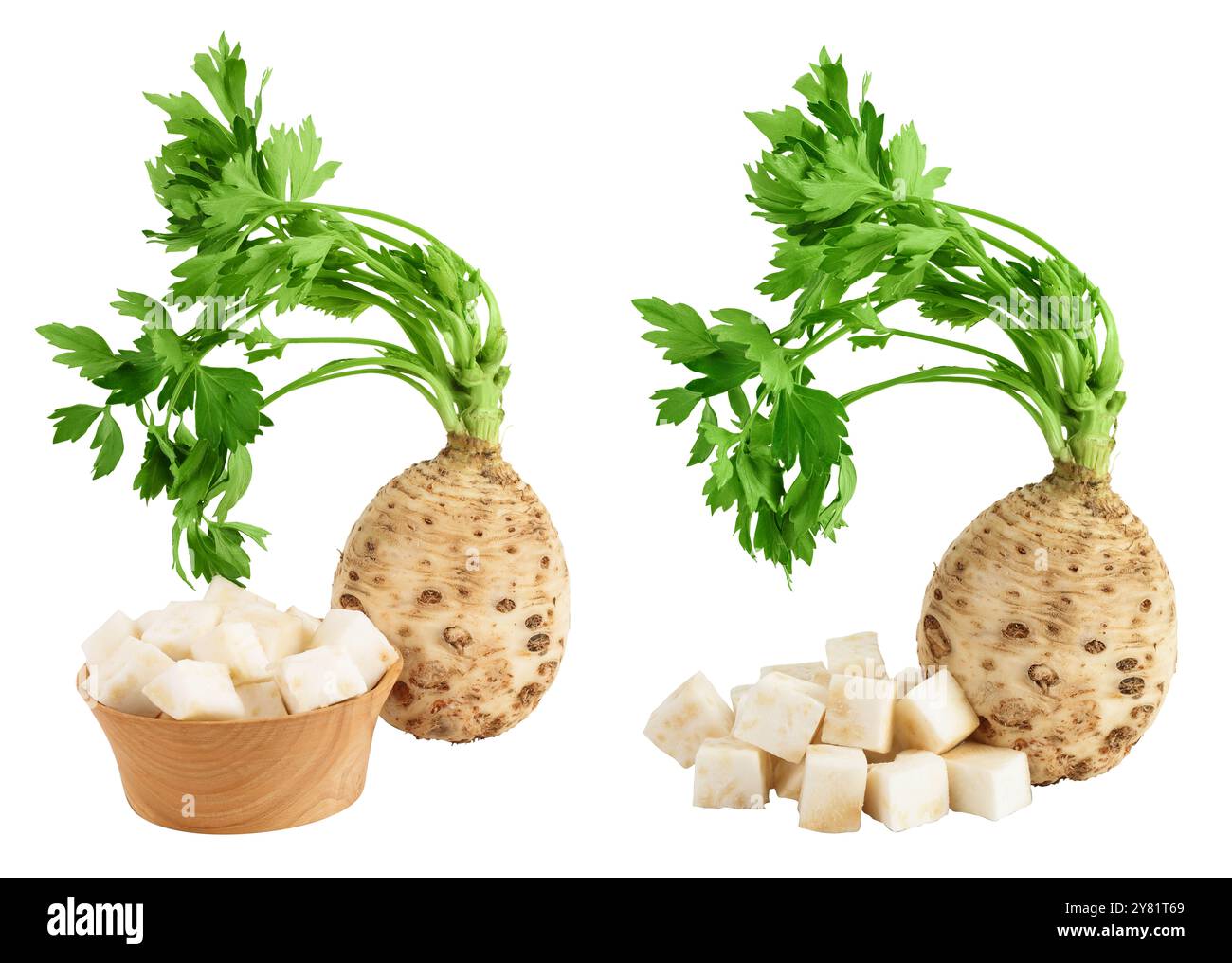 Fresh celery root with leaf isolated on white background Stock Photo ...