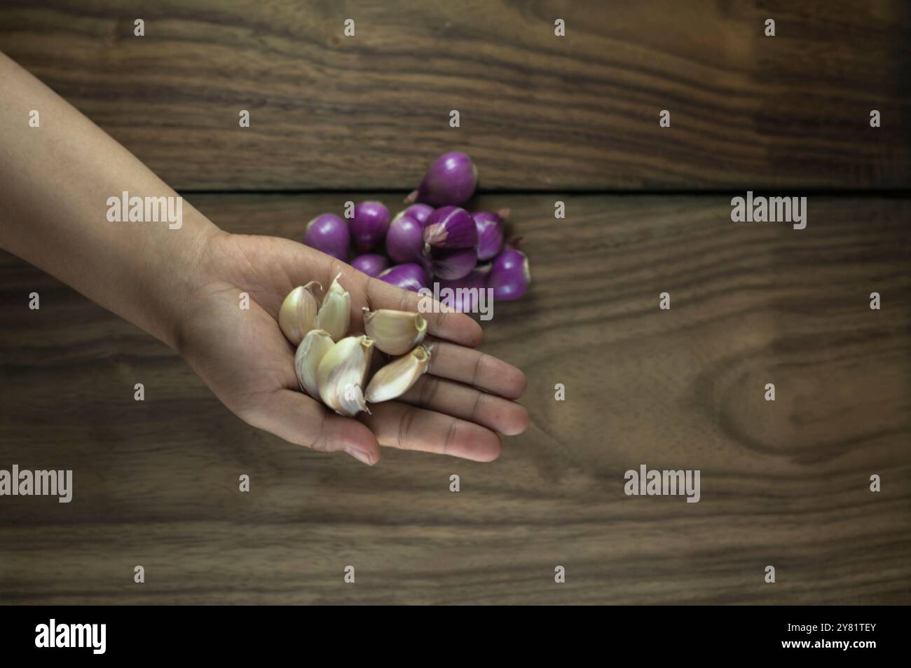 hands holding garlic Stock Photo - Alamy