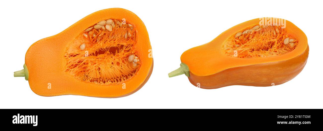 butternut squash half isolated on white background with full depth of ...