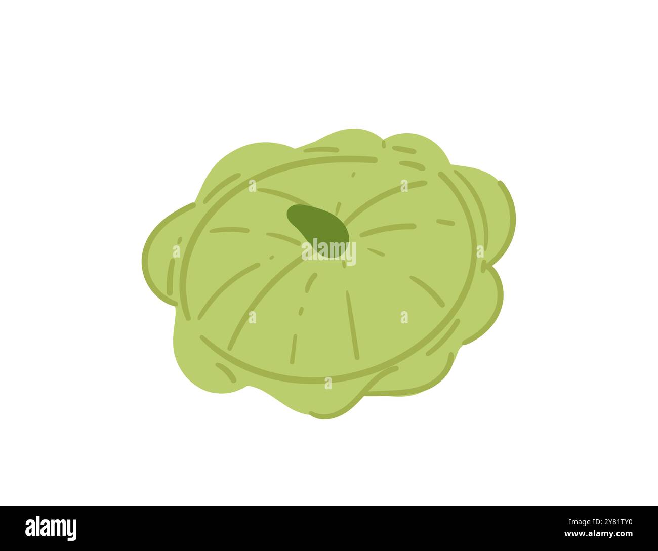 Green patisson squash vegetable. Fresh veggie of agriculture crop plant ...