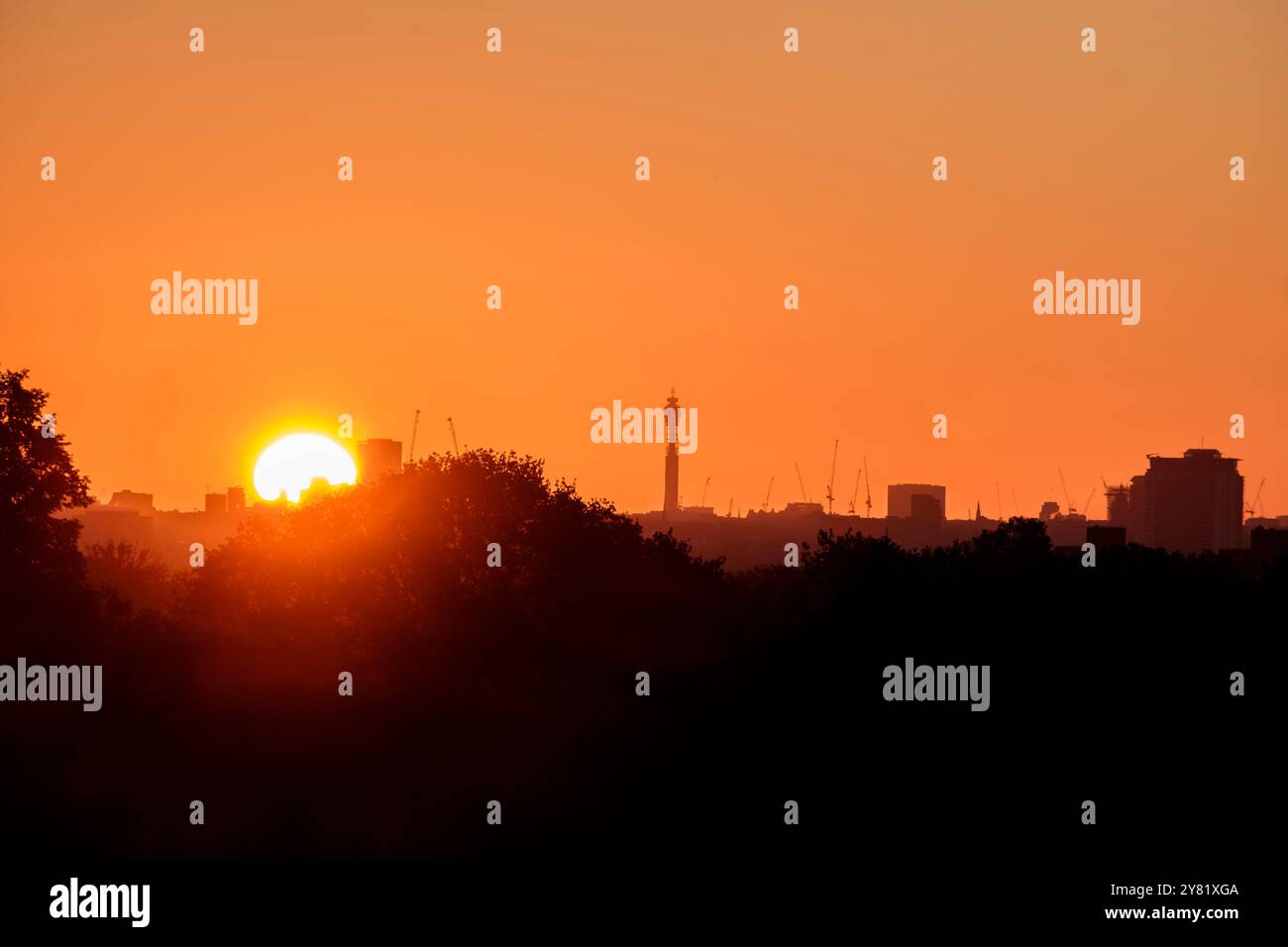 Richmond Park dawn sunrise Summer Solstice Stock Photo - Alamy
